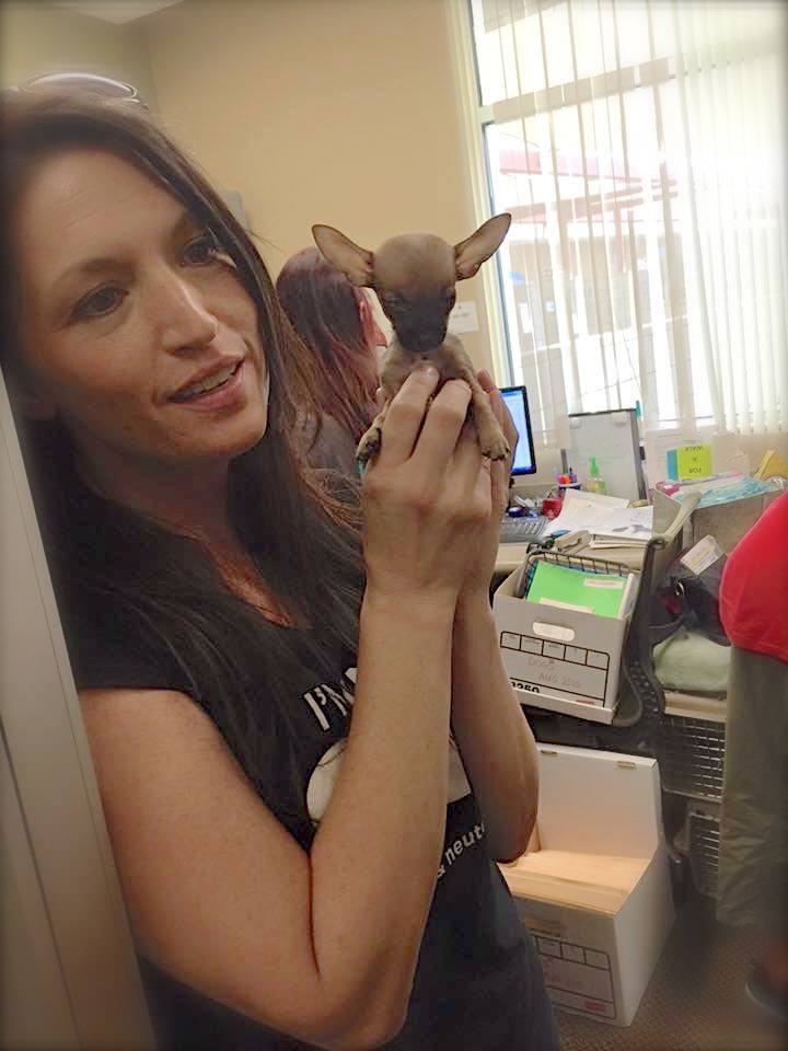 Boogie's First Day – Little Boogie Shoes